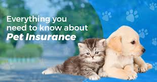 Everything You Need to Know About Pet Insurance Coverage