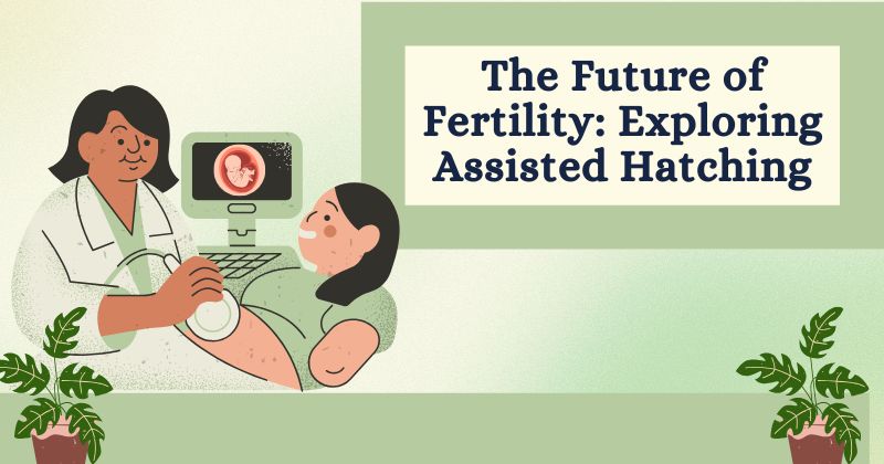 The Future of Fertility: Exploring Assisted Hatching