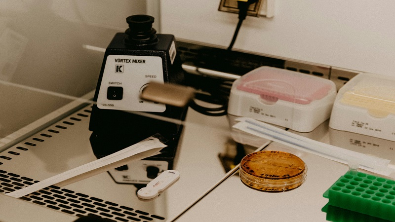 Unraveling RNA-Protein Interactions: The Role of RIP and RIP-seq ...